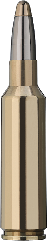 RWS .300 WSM Evolution 11,9G