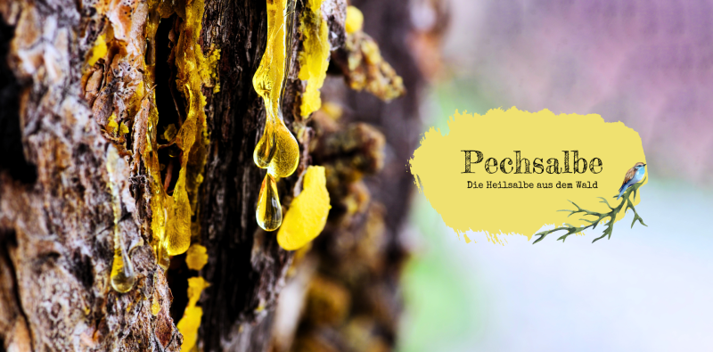 Vom Glück mit dem Pech