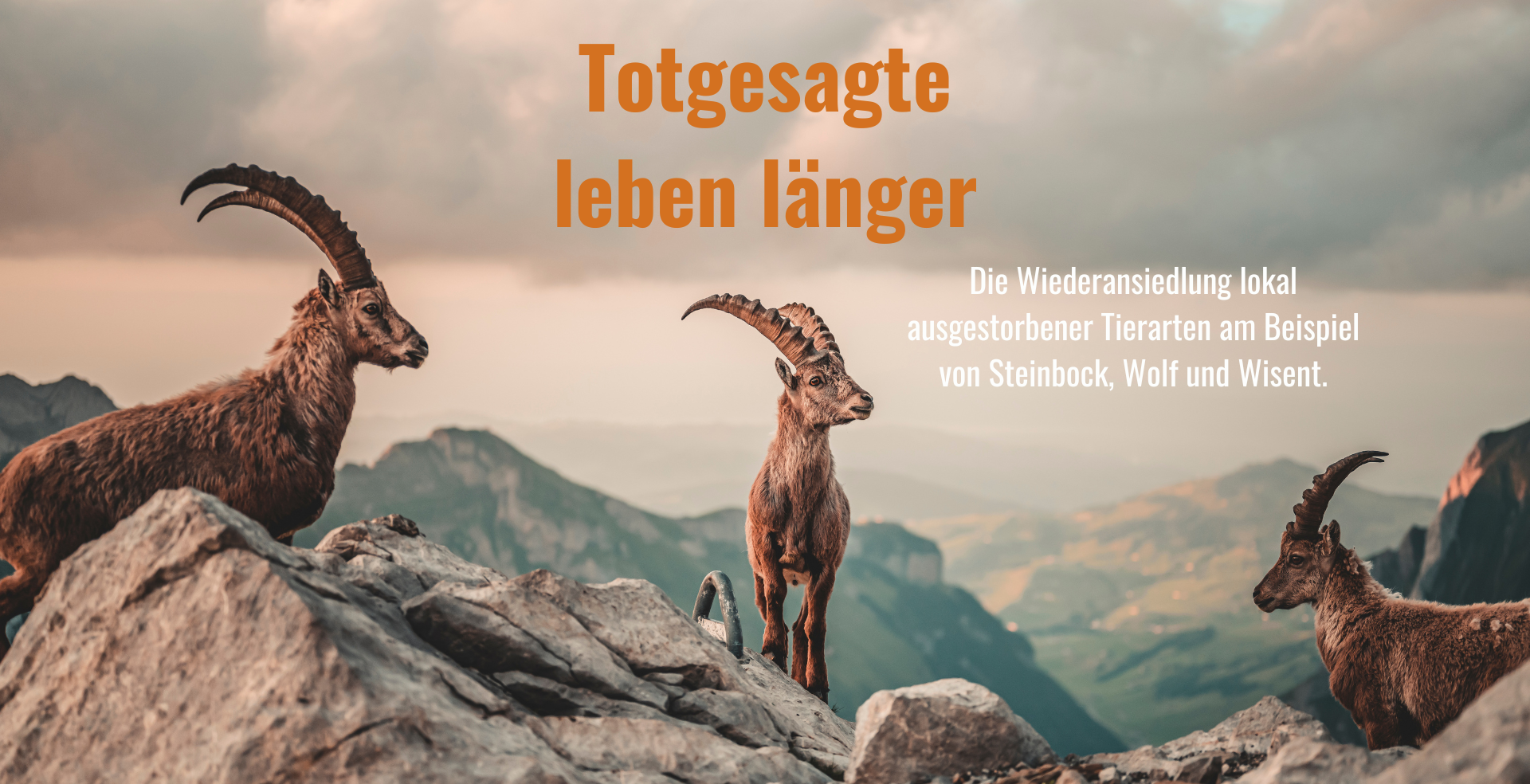 Totgesagte leben länger